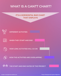 Essential Insights: Project Management & Gantt Chart Software